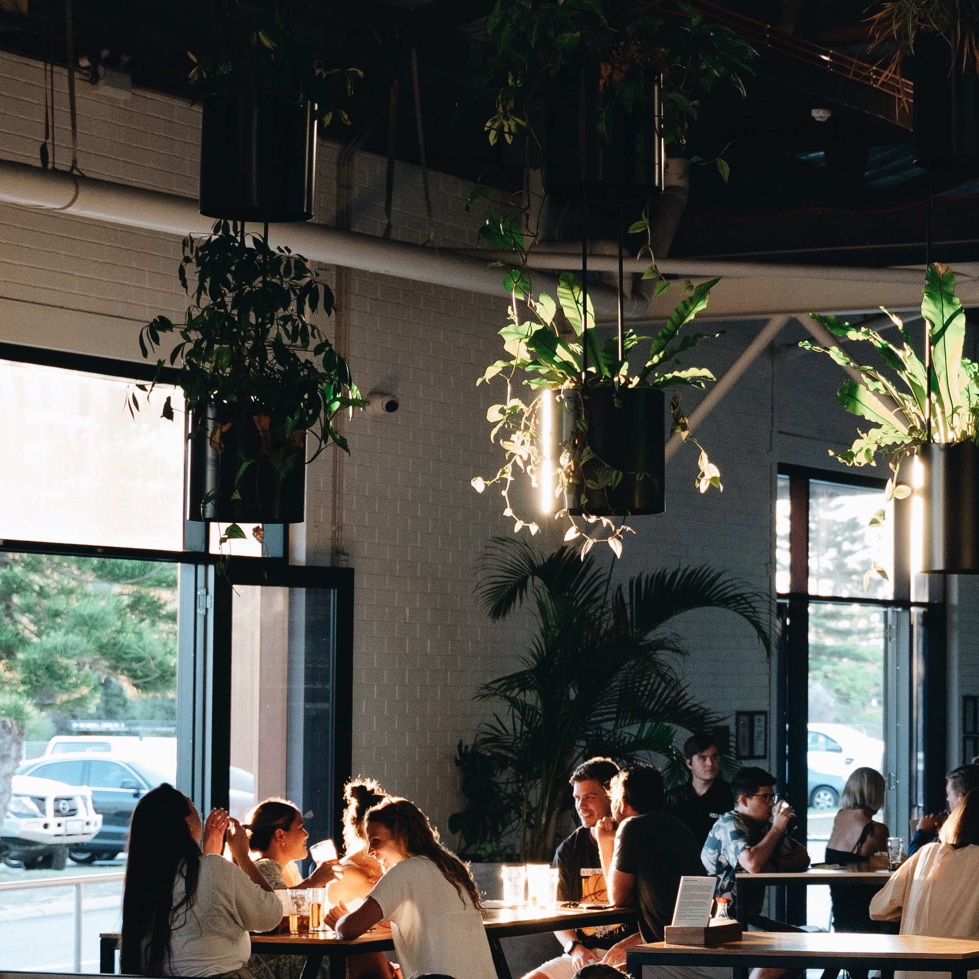 What's On – Running With Thieves